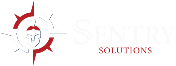 Defense Medical Logistics Standard Support (DMLSS) - Sentry Solutions